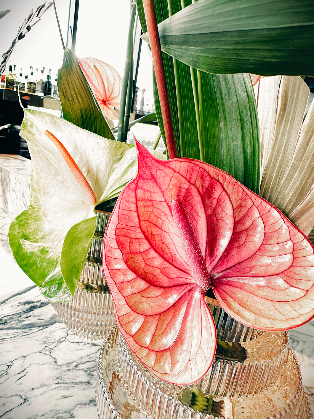 Your local shop for boutique plants, flowers and gifts! – The Rustic ...