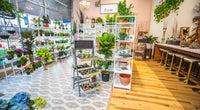 We are an independent flower shop with plants and gifts! – The Rustic ...